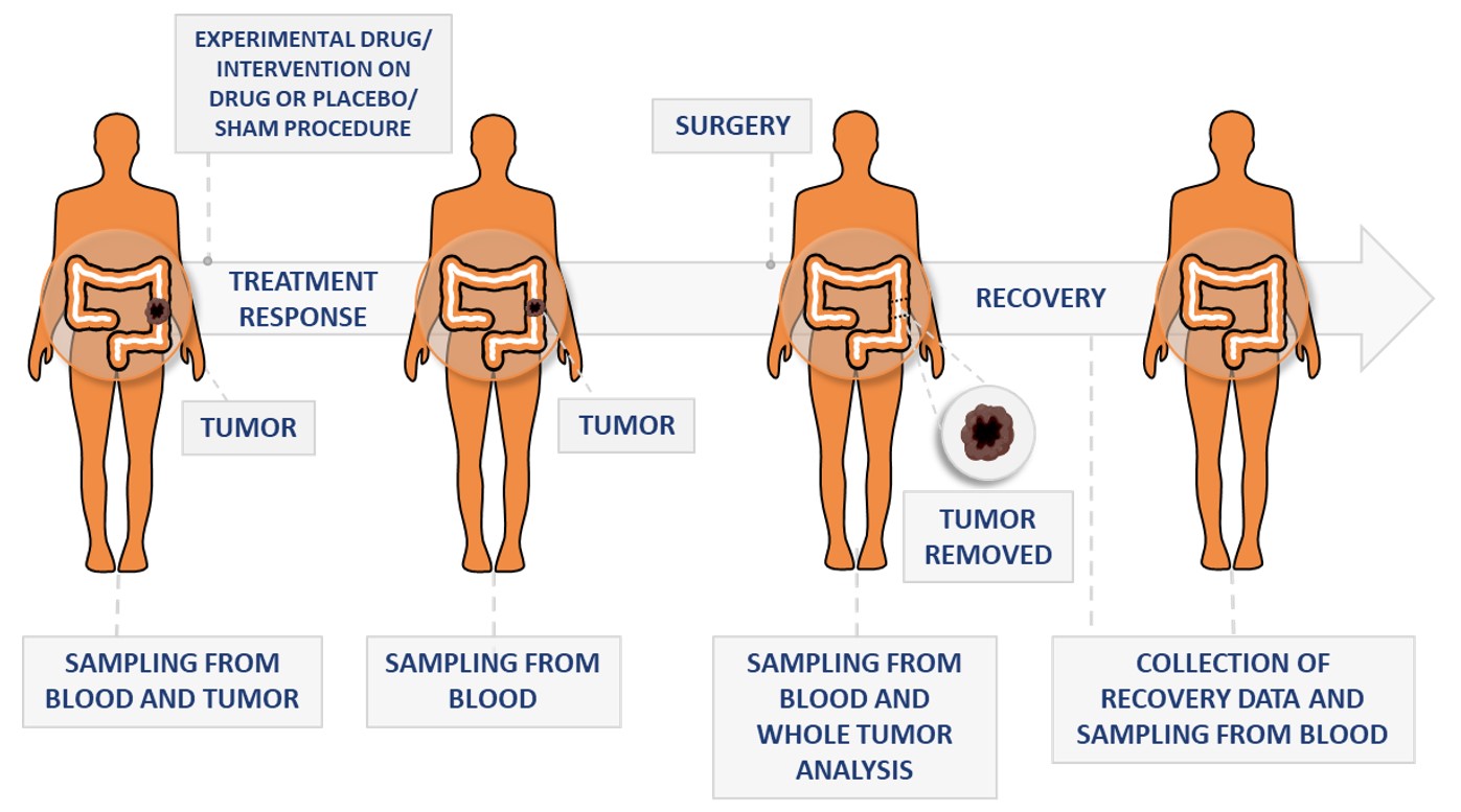 CAG Personalized Oncological Surgery - Center for Surgical Science (CSS)